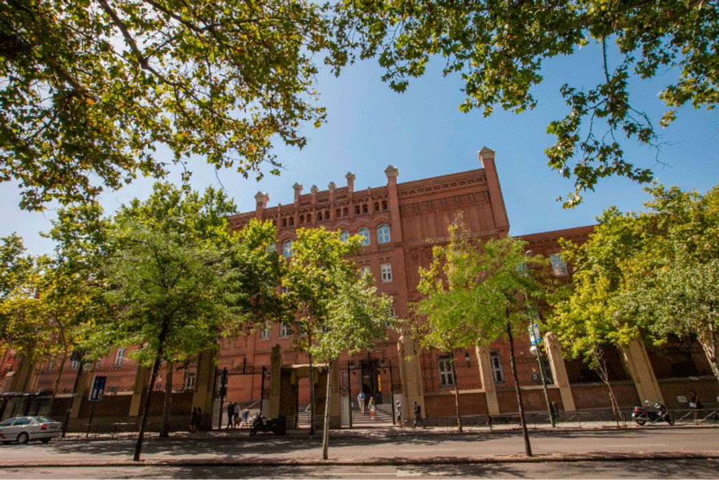 Estructura de gobierno